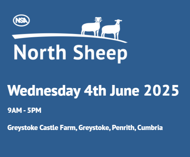 NSA Sheep South West, 25th June 2025 - Livestock Information Ltd
